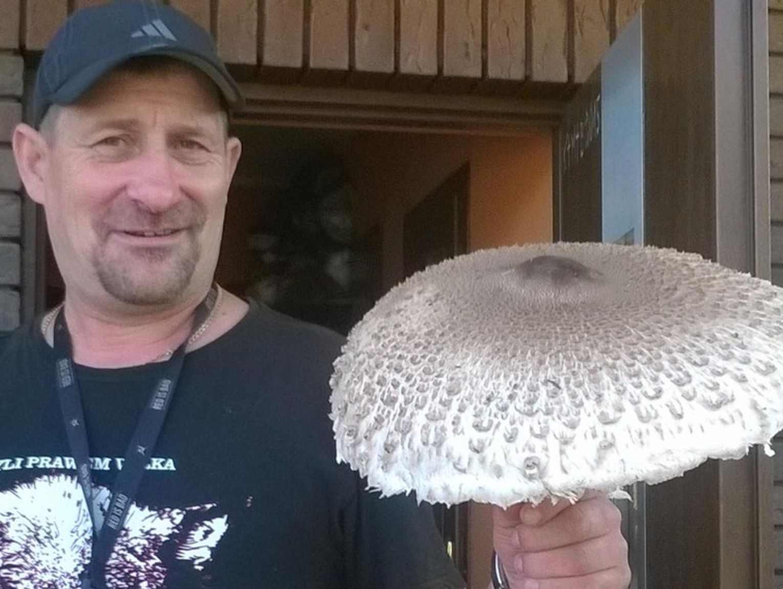 Leśny olbrzym w kapeluszu