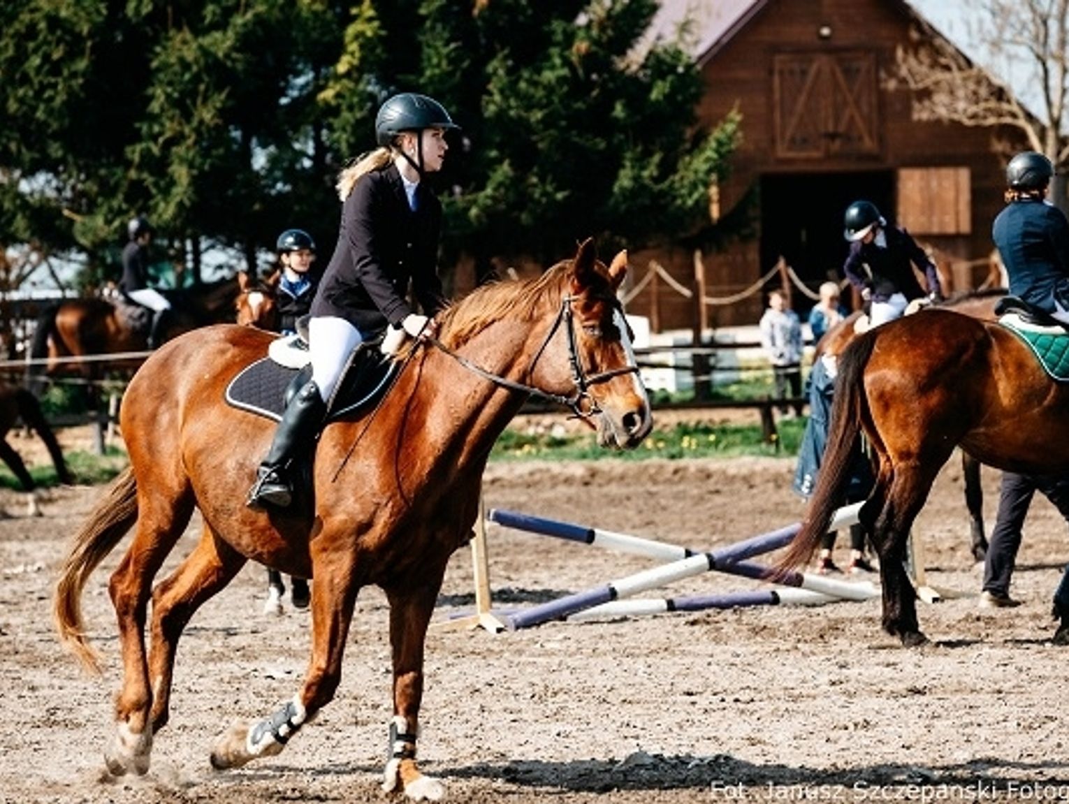 Zawody konne w żarnowskiej stadninie: Rywalizacja, emocje i mistrzowski ...